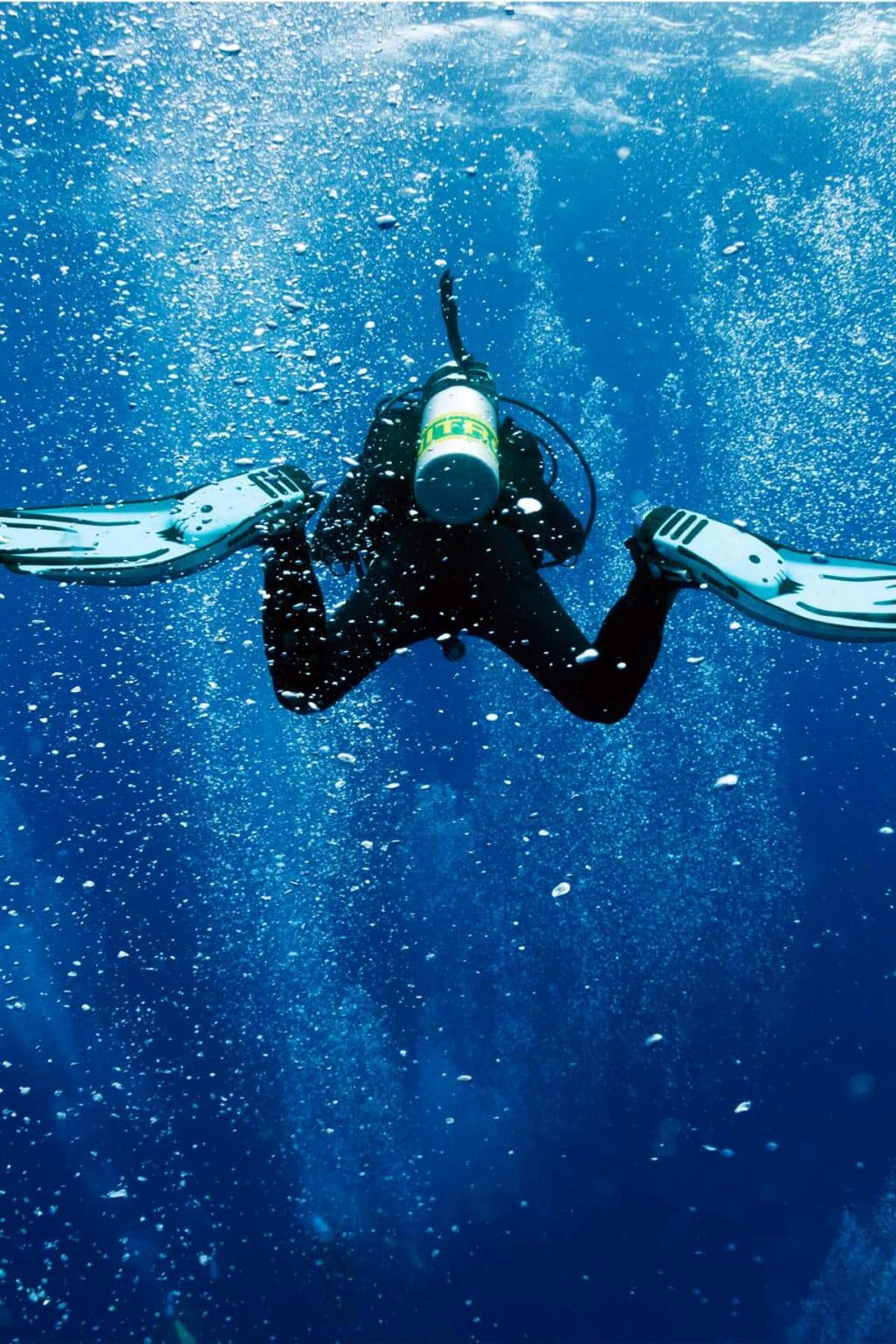 Plonger à la Réunion - Escapade Plongée - Saint Gilles